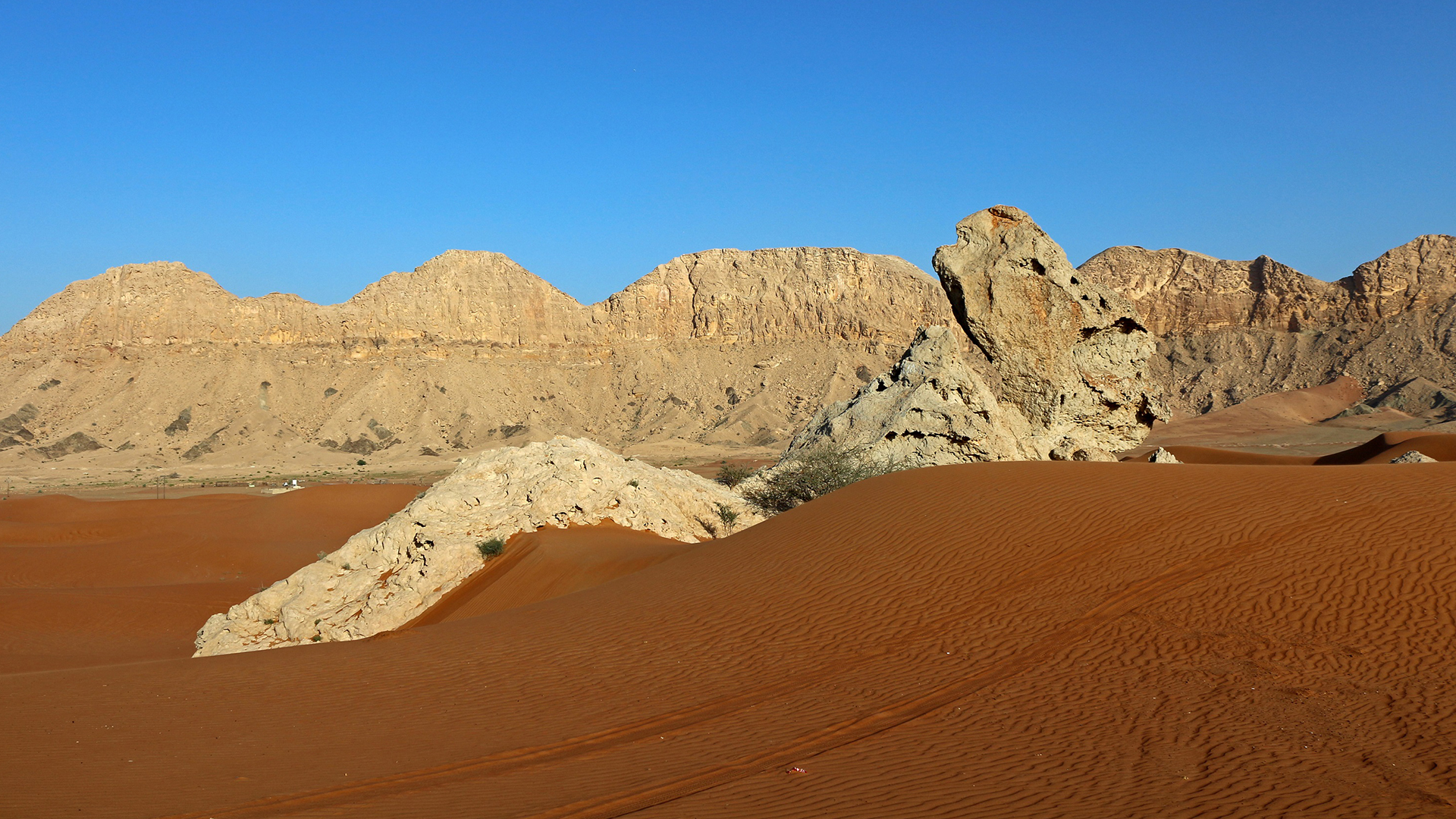 Wadi Adventures in Dubai: Jeep Safari & UAE History Exploration
